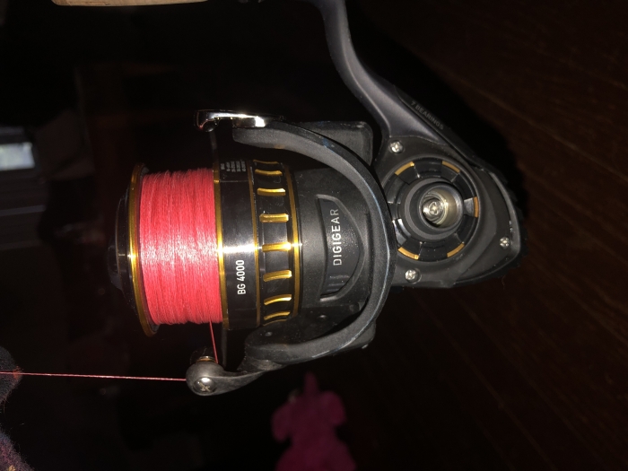 Daiwa BG4000 BG Saltwater Spinning Reel - TackleDirect